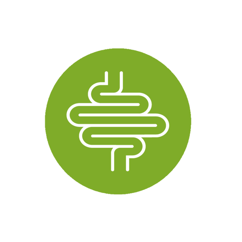 Gut Pampering Stack – Nutribrands